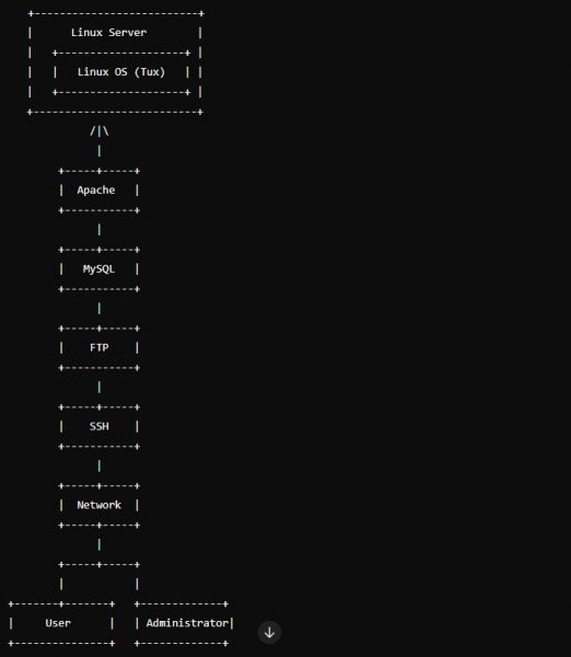 Linux OS for Servers: Best Options and How to Set Up - Linux Expert ...