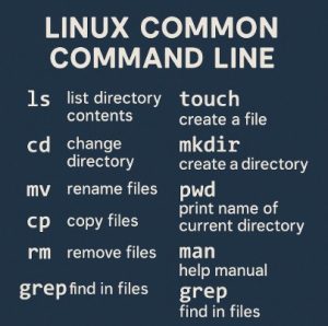 Linux Common Command Line - Linux Expert Better 2026