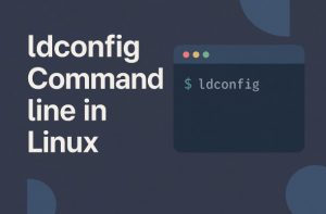 ldconfig Command Line in Linux - Linux Expert Better 2025