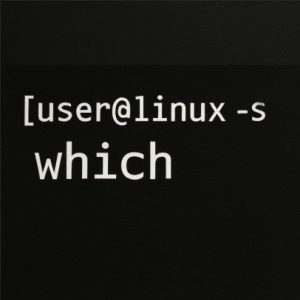 Which Command in Linux: A Complete Guide 2025