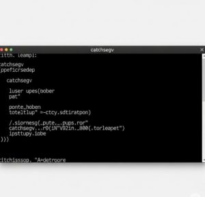 catchsegv: Debug Linux Segfaults Fast Better 2025