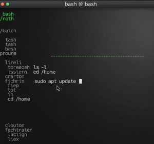 bash: Master the Linux Command Line