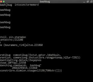 bashbug: Master Linux Shell Script Debugging Better 2025