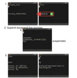 Suspend: Master the Linux Command Better 2025