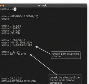 umask: Secure Your Linux System with Default File Permissions Better 2025